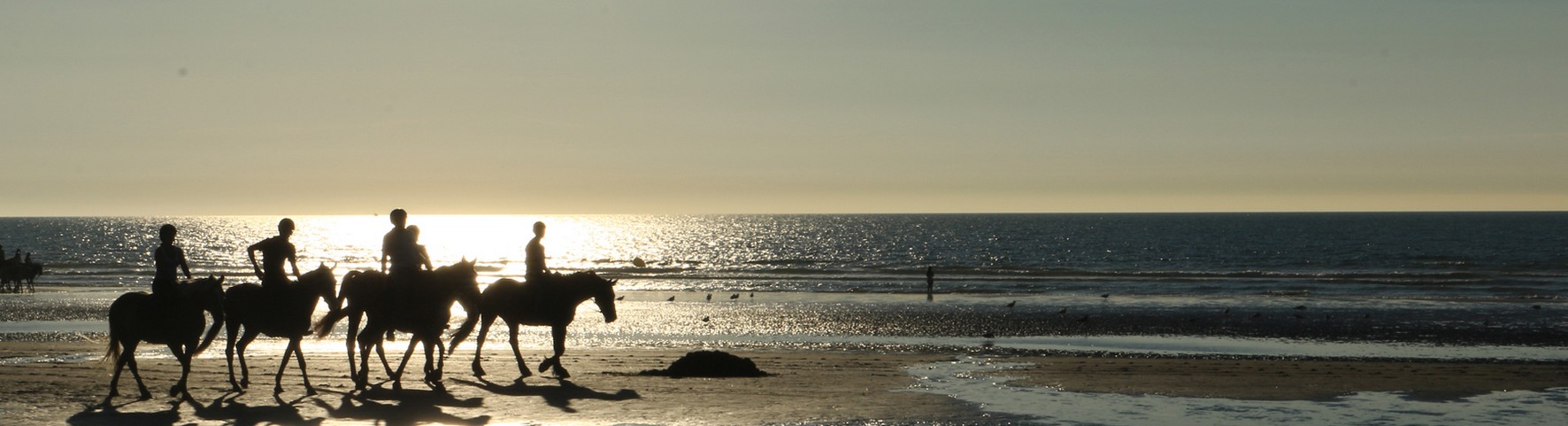 To do in Deauville and in the surroundings - IPAC26